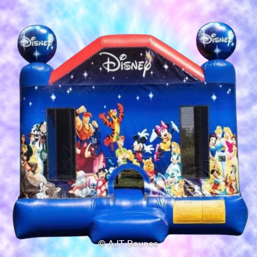 Disney Characters Bounce House