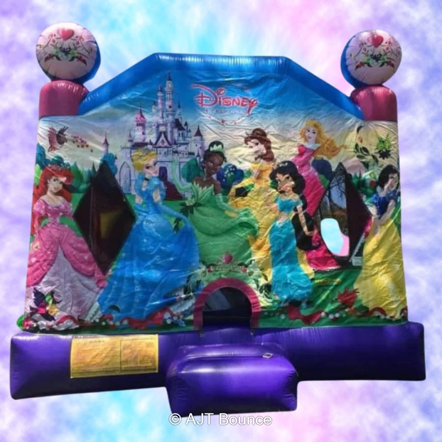 Princess Palace Bounce House